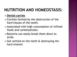 carbohydrate homeostasis.ppt