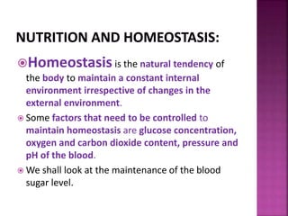 carbohydrate homeostasis.ppt
