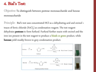 carbohydrate_i.pdf