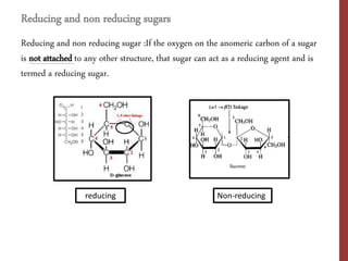 carbohydrate_i.pdf