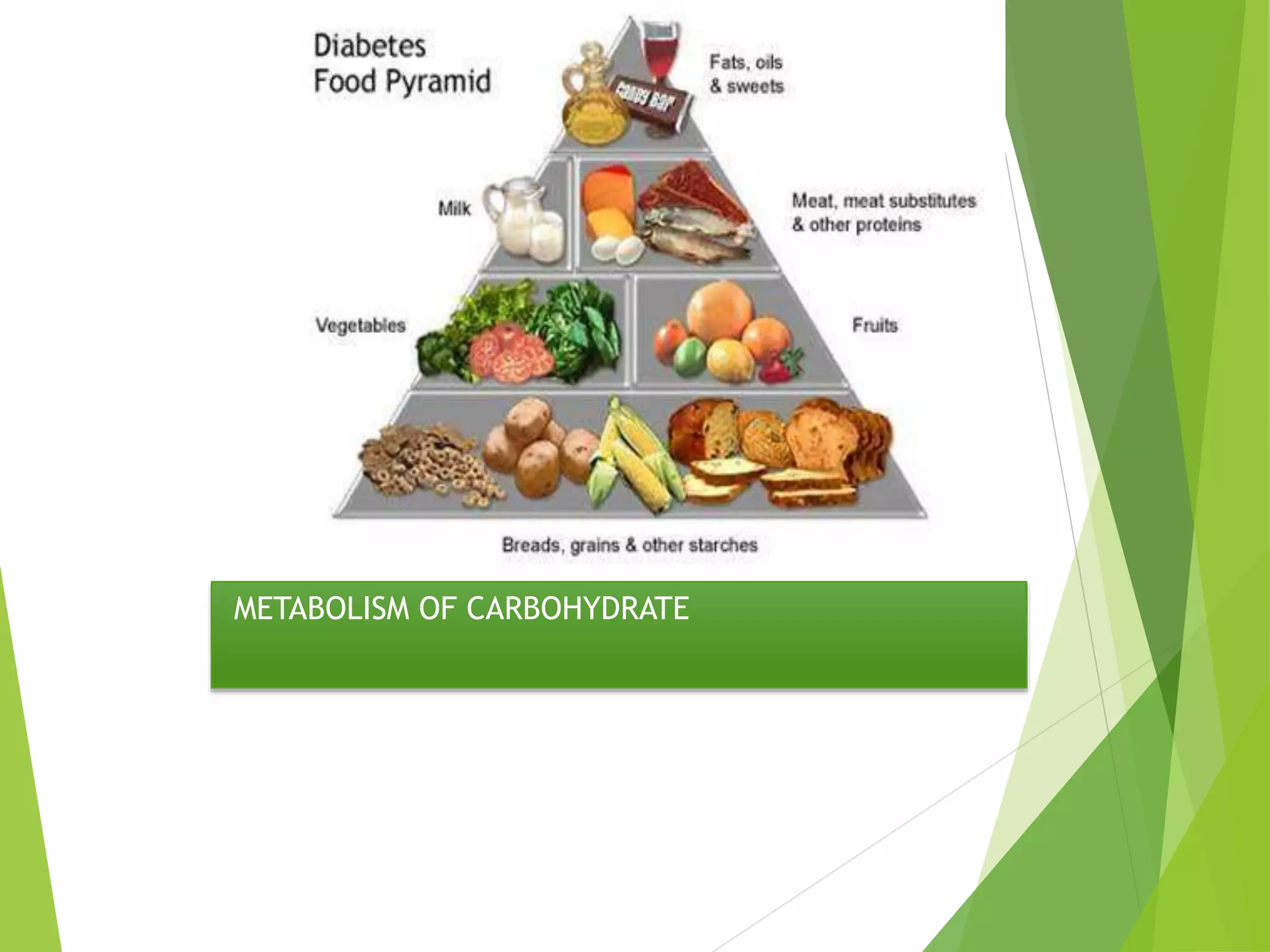 Carbohydrate & lipid (biochemistry) | PPTX