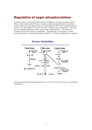 Carbohydrate metabolism | PDF
