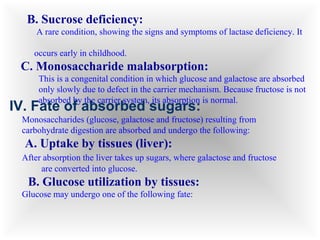Carbohydrate metabolism | PPT
