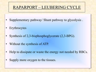 Carbohydrate metabolism | PPTX