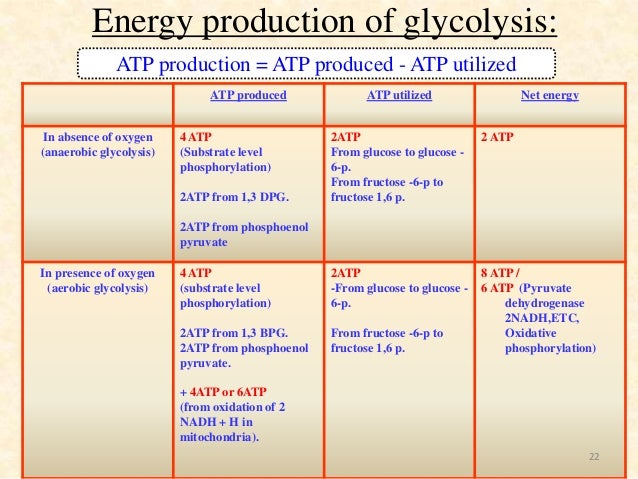Carbohydrate metabolism