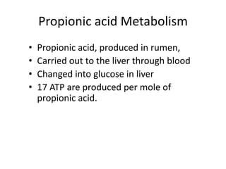 Carbohydrate Metabolism (Animal Nutrition) | PPTX