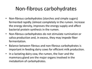 Carbohydrate Metabolism (Animal Nutrition) | PPTX