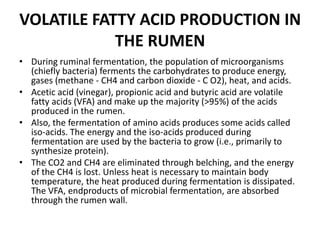 Carbohydrate Metabolism (Animal Nutrition) | PPTX