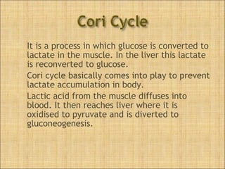 Carbohydrate metabolism | PPT