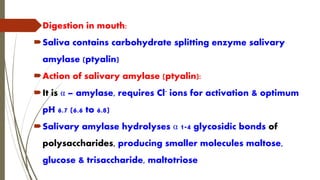 Carbohydrate metabolism | PPTX