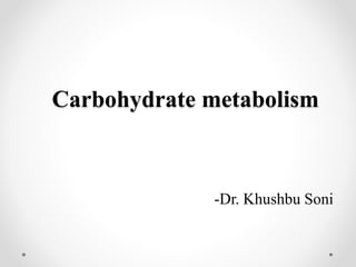 Carbohydrate metabolism | PPT