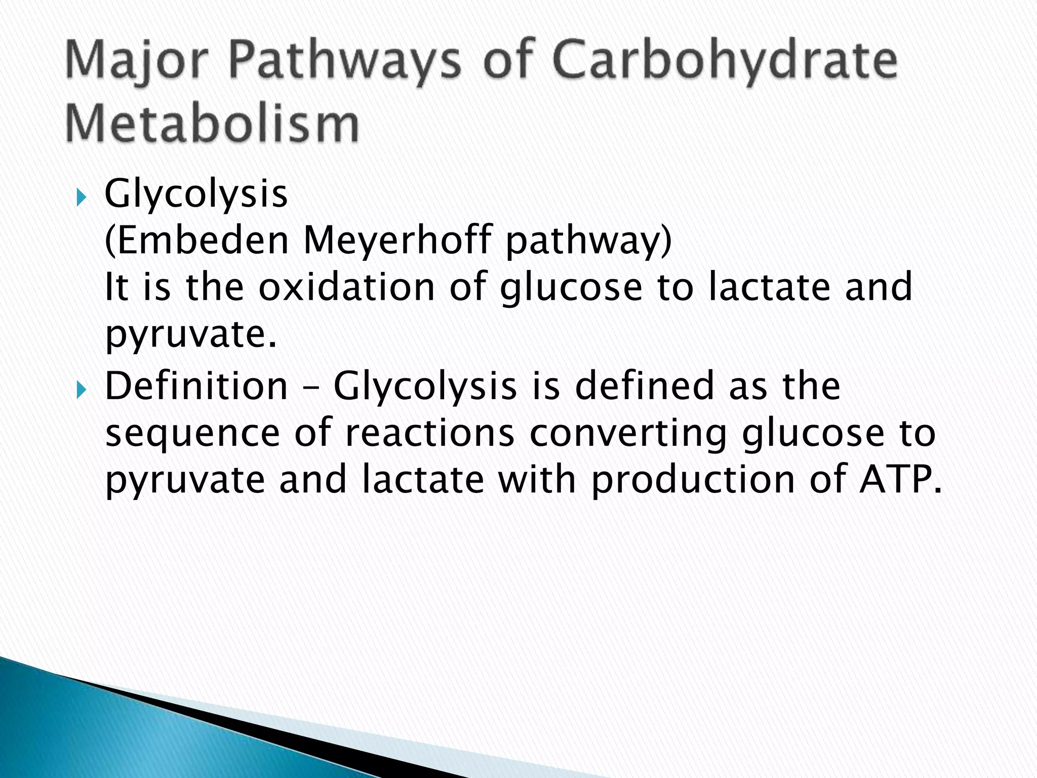 Carbohydrate metabolism | PPTX