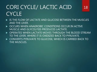 Carbohydrate metabolism | PPTX