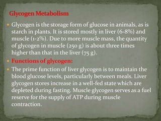 Carbohydrate metabolism | PPTX