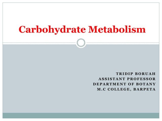 Carbohydrate metabolism | PPT