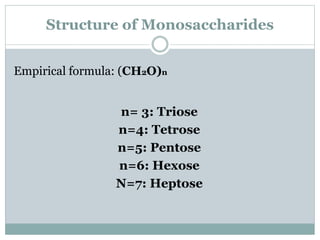 Carbohydrate metabolism | PPT
