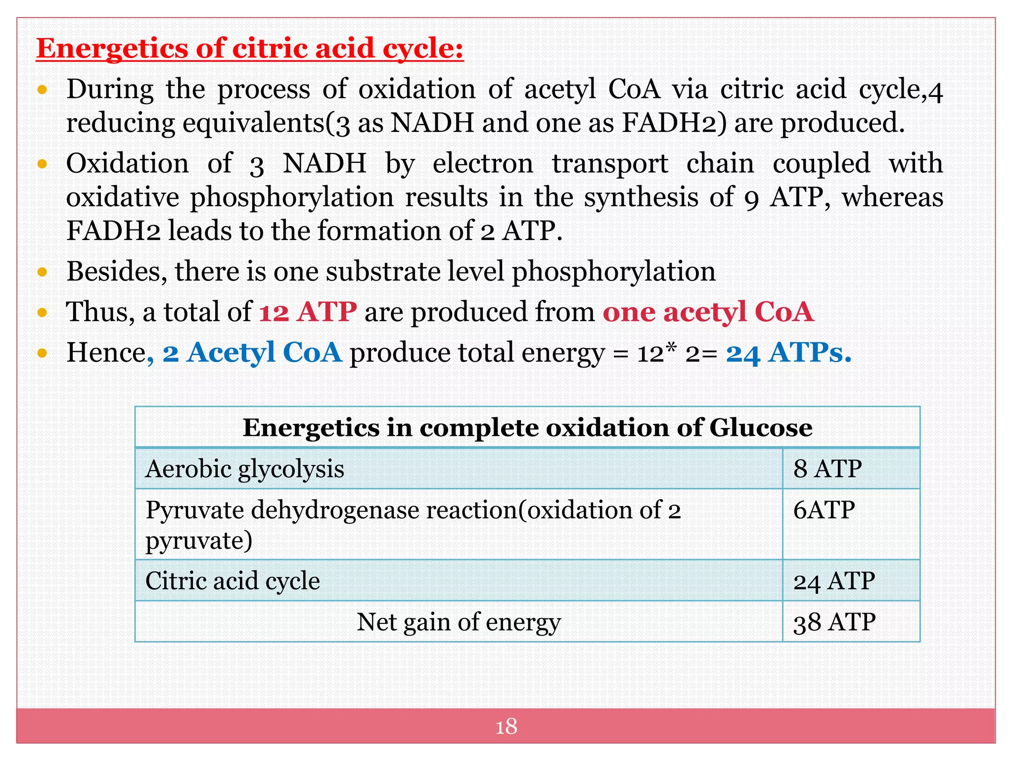 Carbohydrate metabolism | PPTX