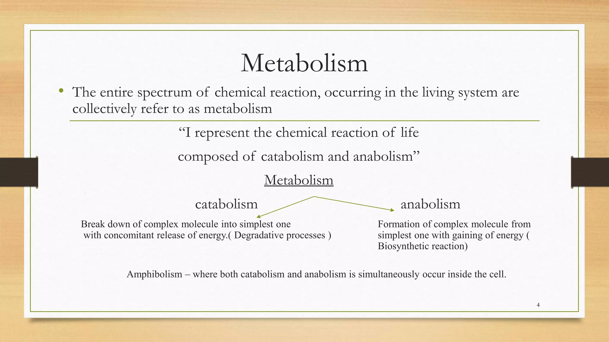 CARBOHYDRATE METABOLISM BY BISWANATH PRUSTY | PDF