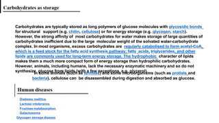 Carbohydrate metabolism.pptx
