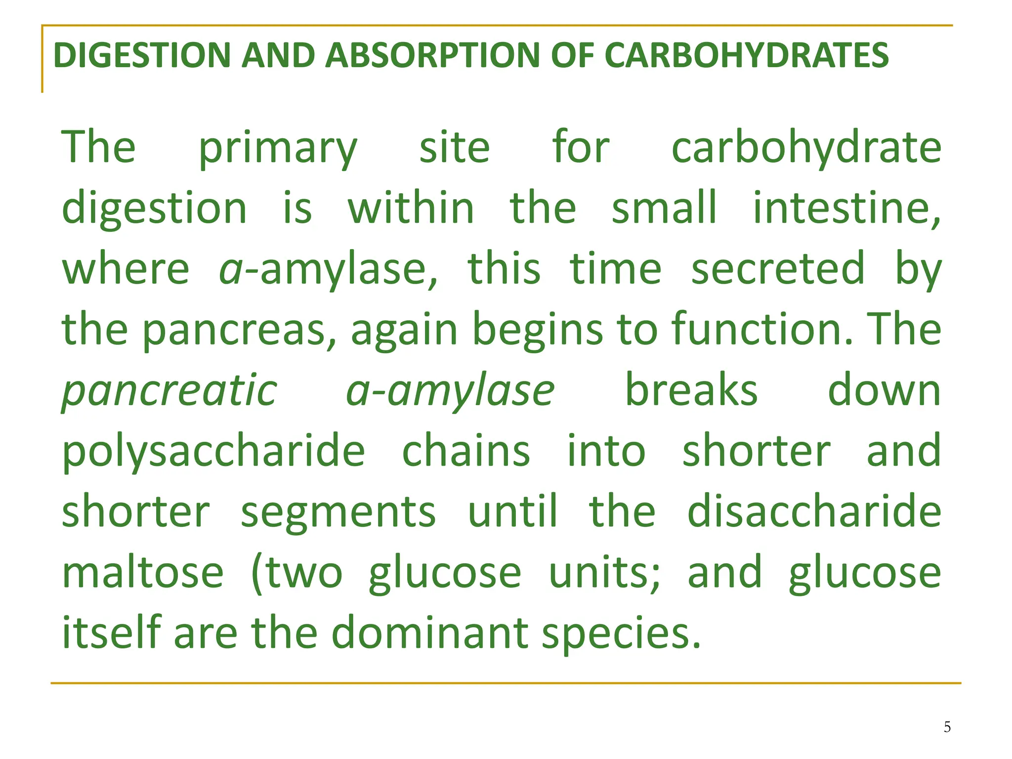 Carbohydrate Metabolism.pdf