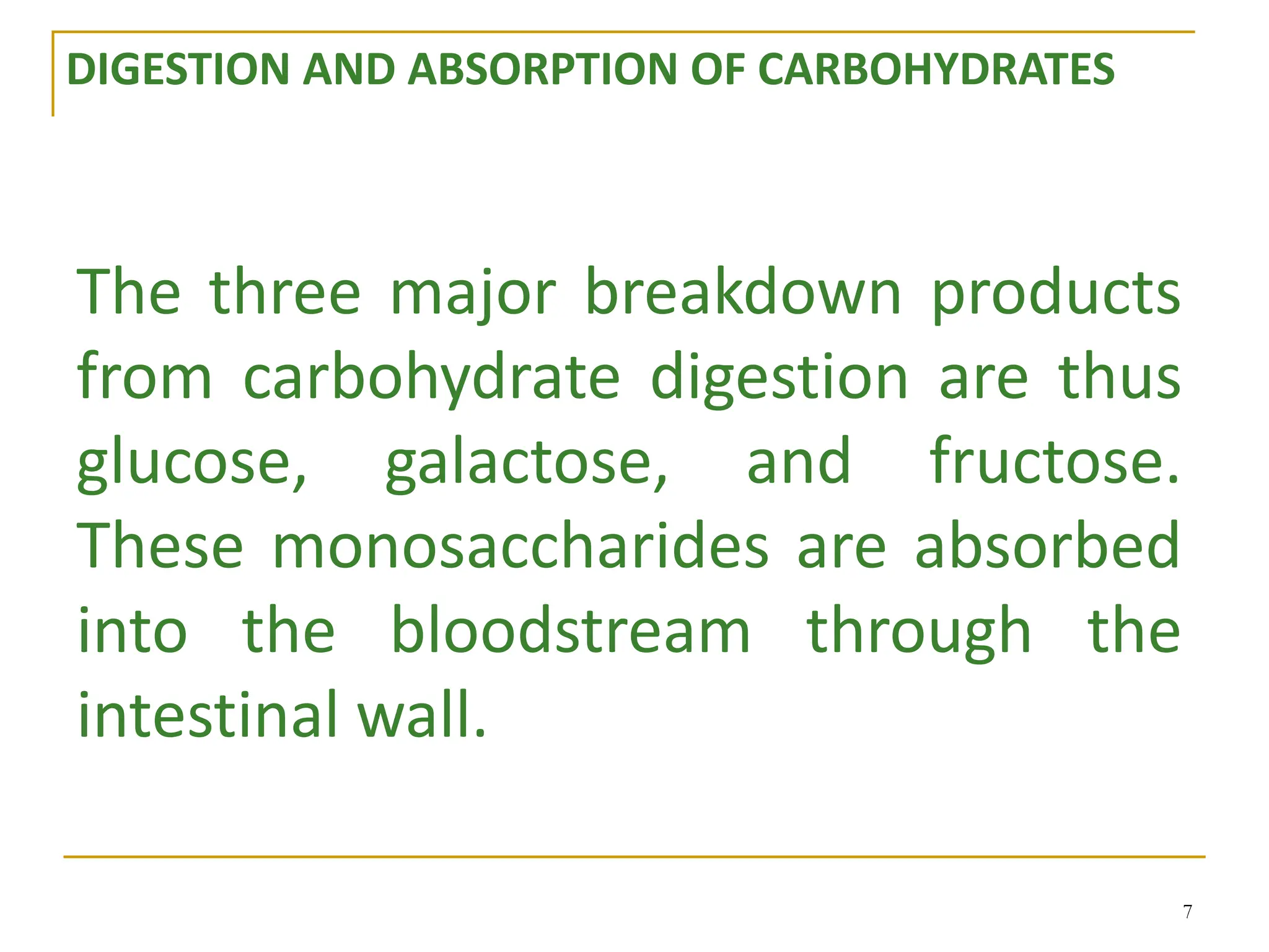 Carbohydrate Metabolism.pdf