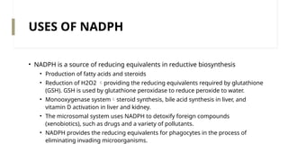 kuliah metabolisme karbohidrat- biokimia.pptx