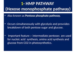 Carbohydrate metabolism and energetics: .pptx