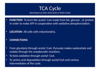Carbohydrate metabolism and energetics: .pptx