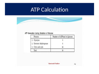 Carbohydrate metabolism and energetics: .pptx