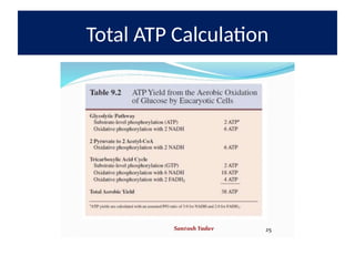 Carbohydrate metabolism and energetics: .pptx