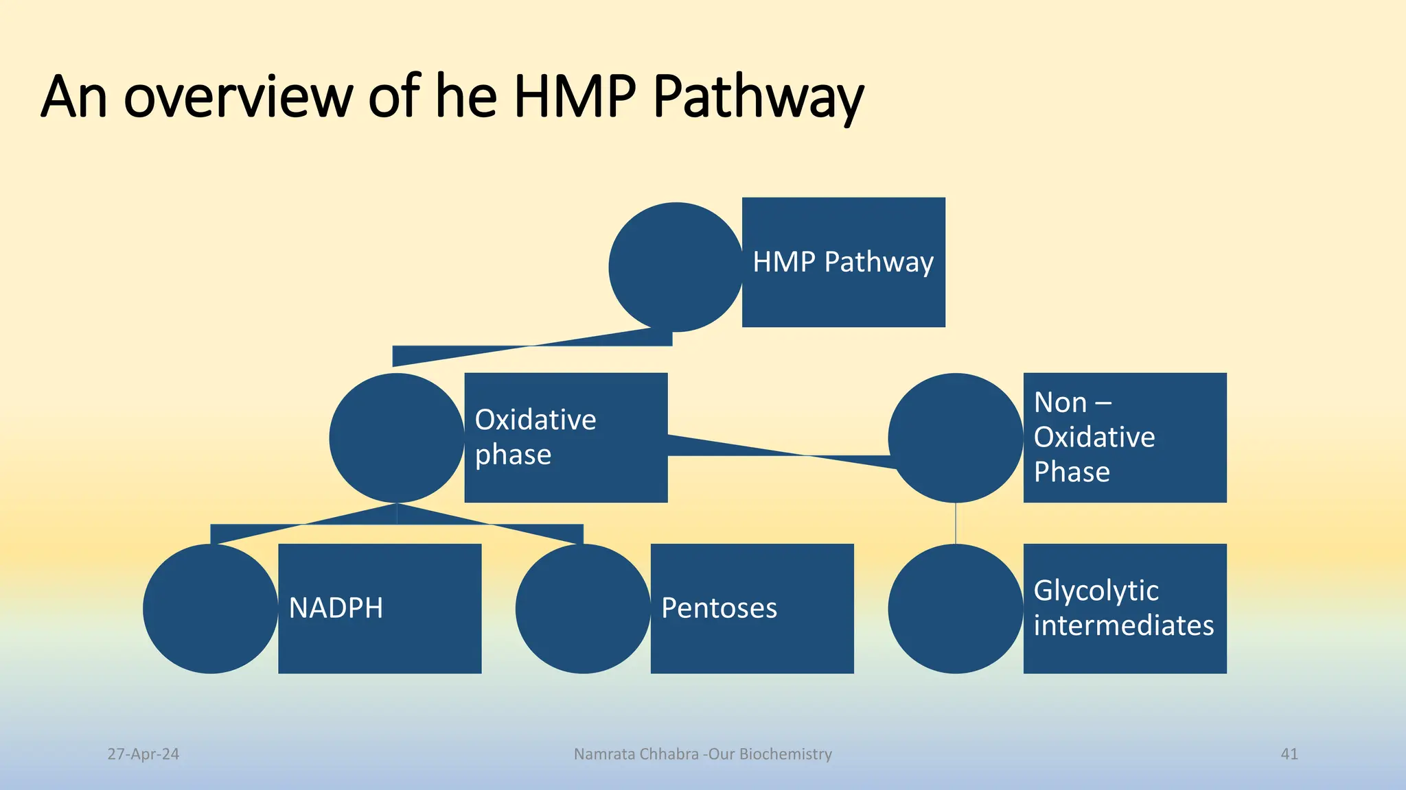 Carbohydrate metabolism- a quick revision.pdf