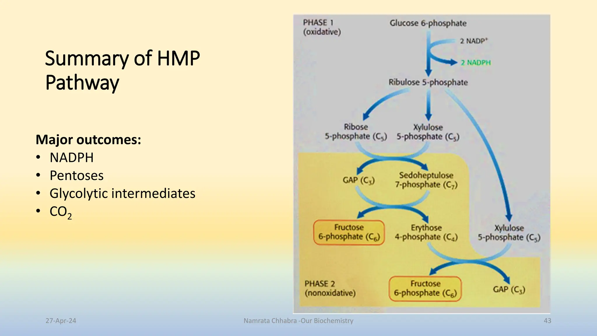 Carbohydrate metabolism- a quick revision.pdf