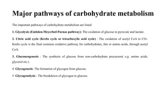 Carbohydrate metabolism and Glycolysis | PDF