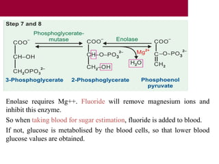Carbohydrate metabolism- Glycolysis.pptx