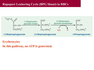 Carbohydrate metabolism- Glycolysis.pptx