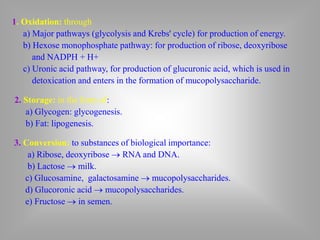 Carbohydrate metabolism i | PPTX