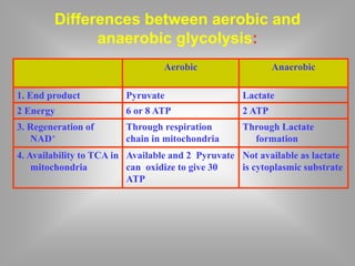 Carbohydrate metabolism i | PPTX