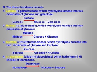 Carbohydrate metabolism i | PPTX