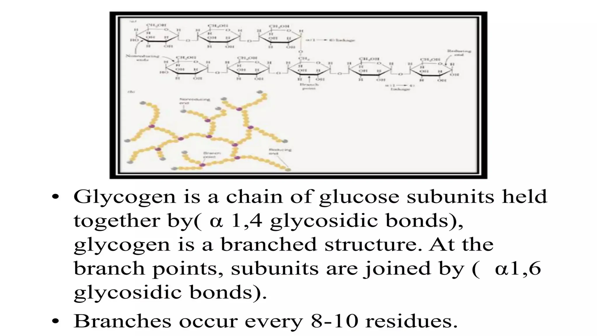 Carbohydrate Metabolism CHAPTER-II biochem | PPTX