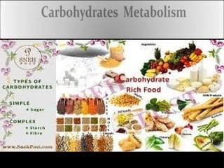 CARBOHYDRATE METABOLISM 01.pptx0000000000 | PPTX