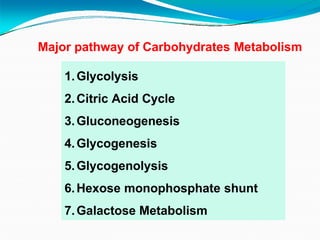 CARBOHYDRATE METABOLISM 01.pptx0000000000 | PPTX
