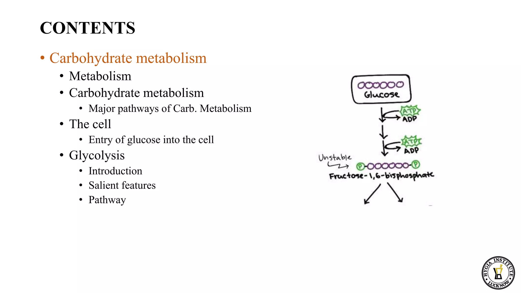 Carbohydrate metabolism and glycolysis.pptx