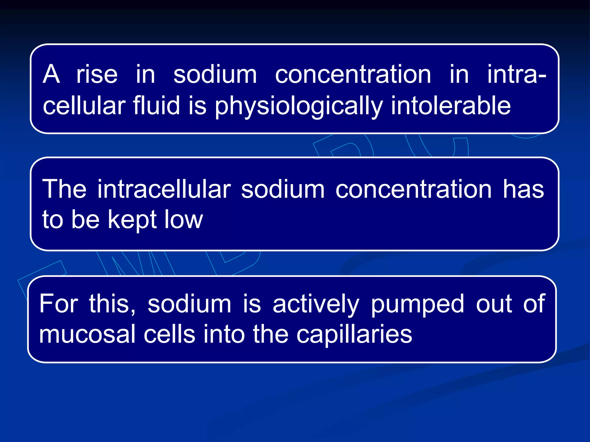 Carbohydrate metabolism an overview | PPTX