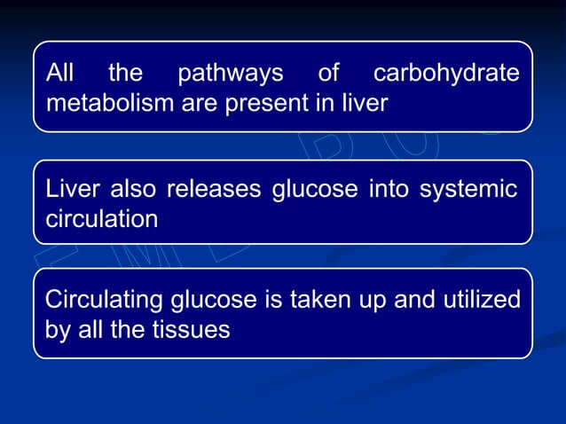 Carbohydrate metabolism an overview | PPT
