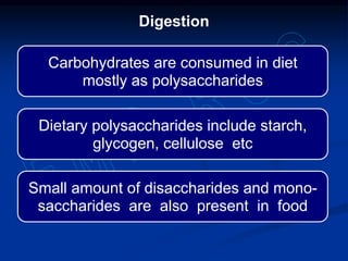 Carbohydrate metabolism an overview | PPTX