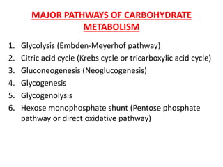 Carbohydrate metabolism b.pharm | PPTX