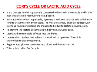 Carbohydrate metabolism b.pharm | PPTX