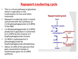 Carbohydrate metabolism b.pharm | PPTX