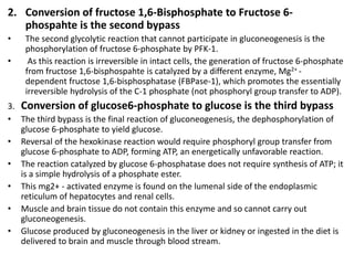 Carbohydrate metabolism b.pharm | PPTX