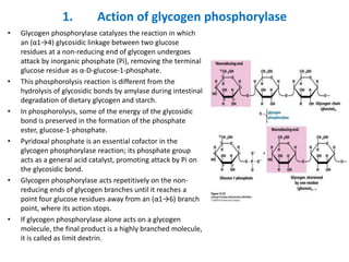 Carbohydrate metabolism b.pharm | PPTX